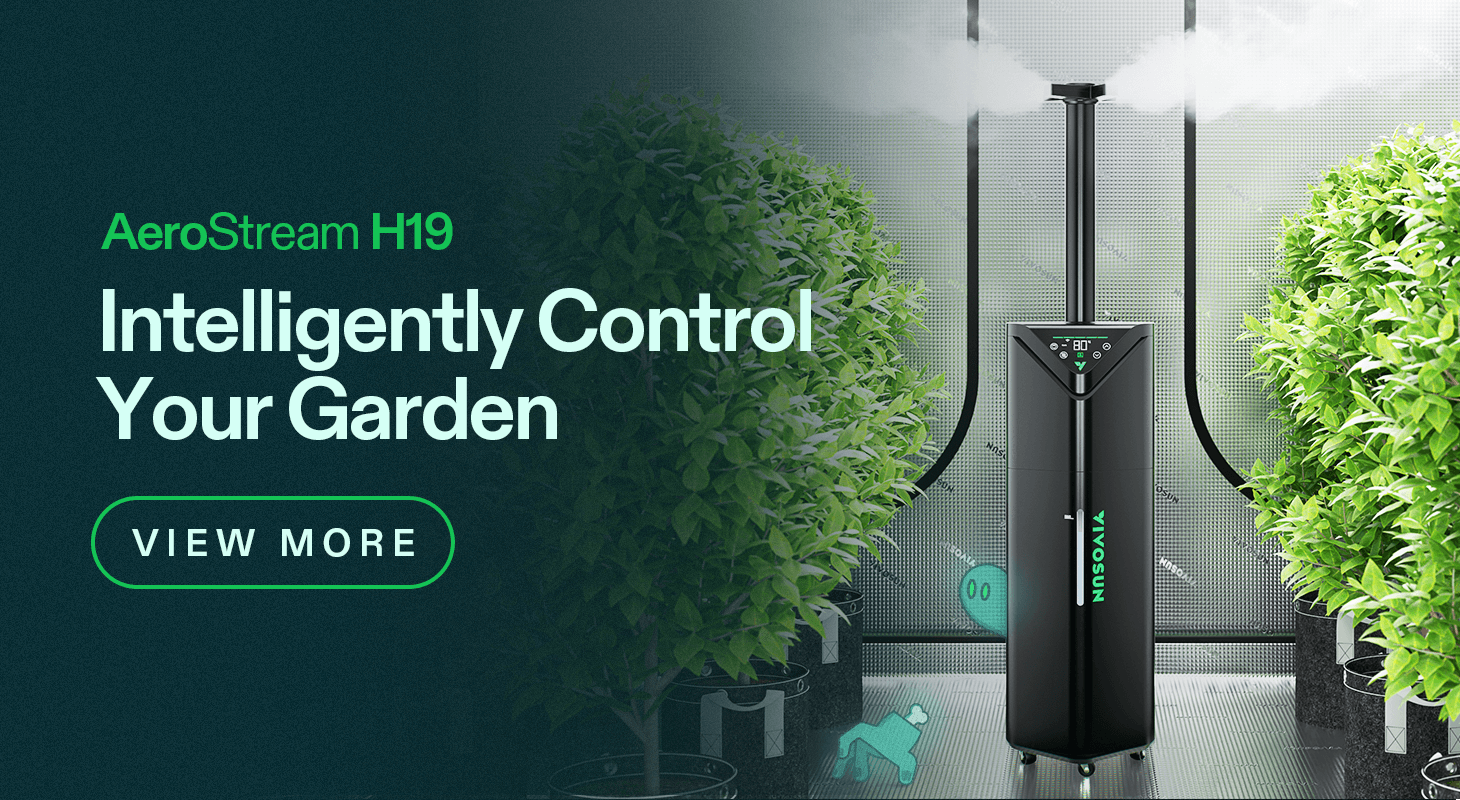 Love What You Grow | Vivosun