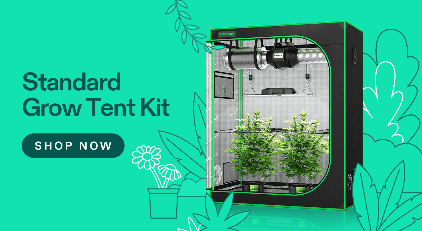 Love What You Grow | Vivosun