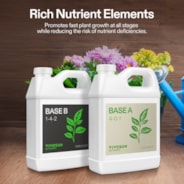 Vivosun Nutrients Base A & B Bundle, Liquid Fertilizer Supports Vegetative and Flowering Stage