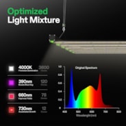 VSFD6500 Full Spectrum LED Grow Light Bar 650W, Detachable Design with ...