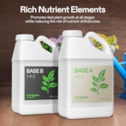 Nutrients Base A & B Bundle, Liquid Fertilizer Supports Vegetative and ...