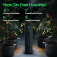 AeroStream H09 Intelligent Wi-Fi Humidifier, 2.38 Gal / 9 L Humidifier ...