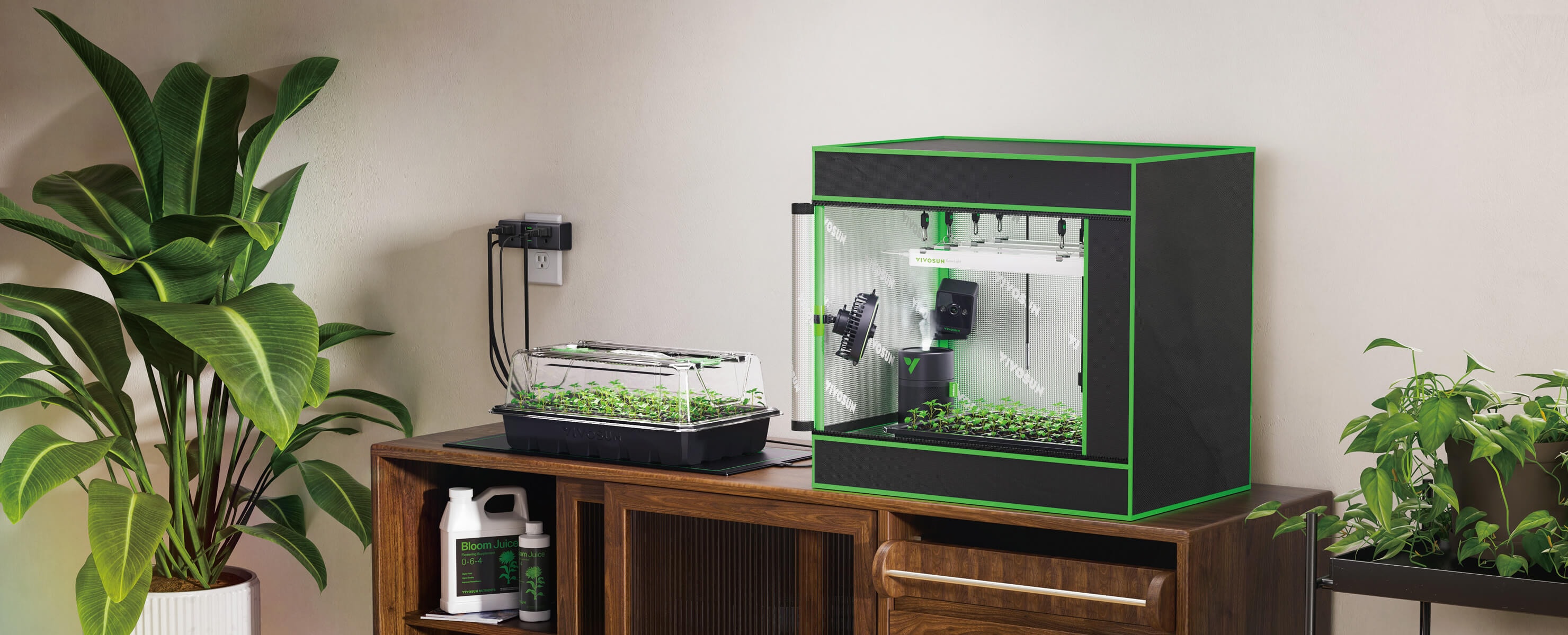 Love What You Grow | Vivosun