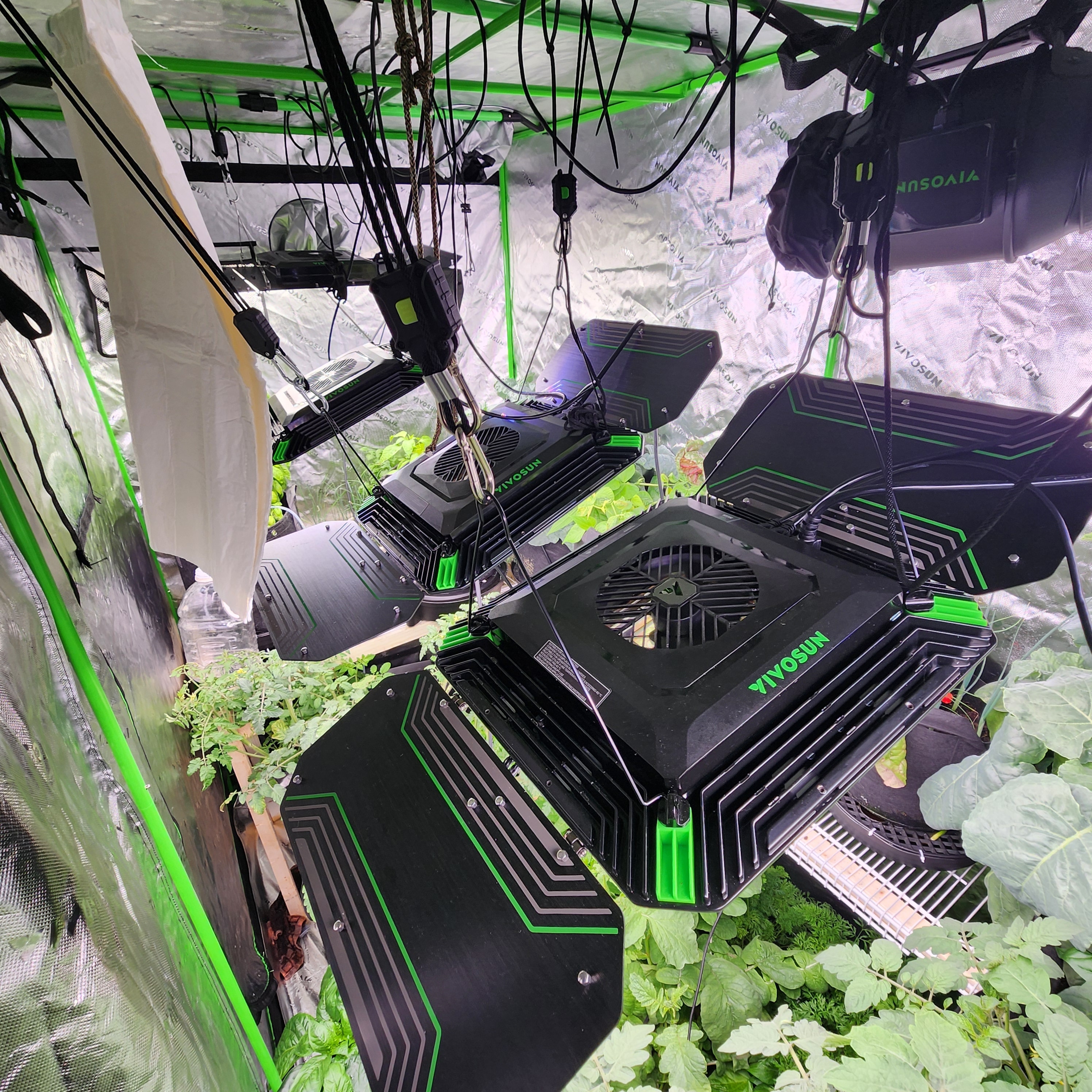 Love What You Grow | Vivosun