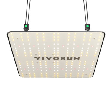 Love What You Grow | Vivosun