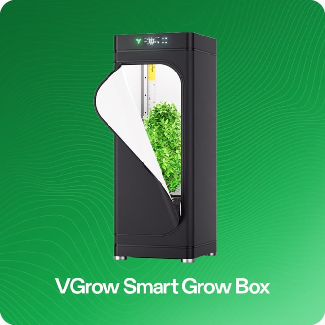 Love What You Grow | Vivosun