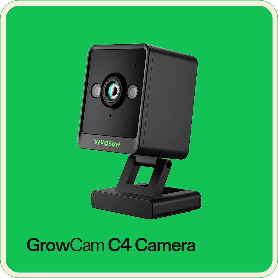 Love What You Grow | Vivosun