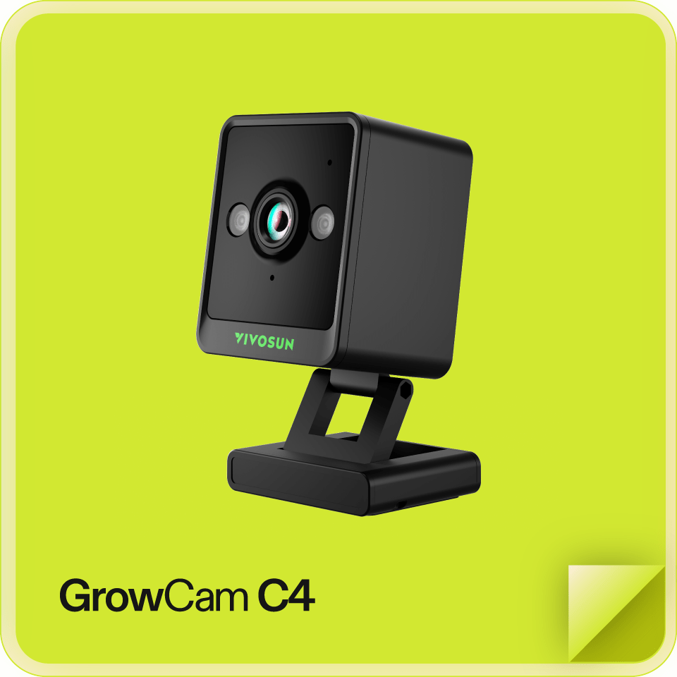 Love What You Grow | Vivosun