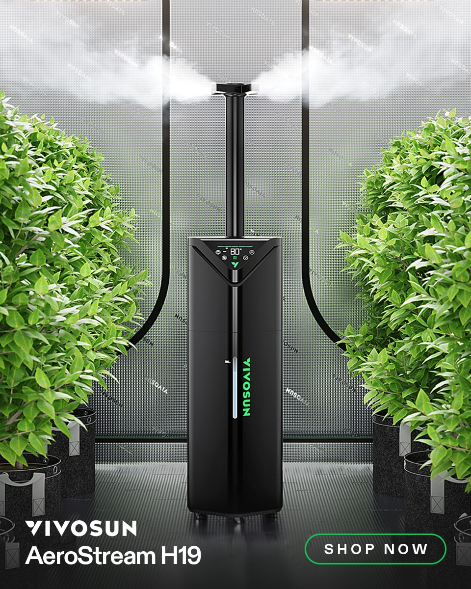 Love What You Grow | Vivosun