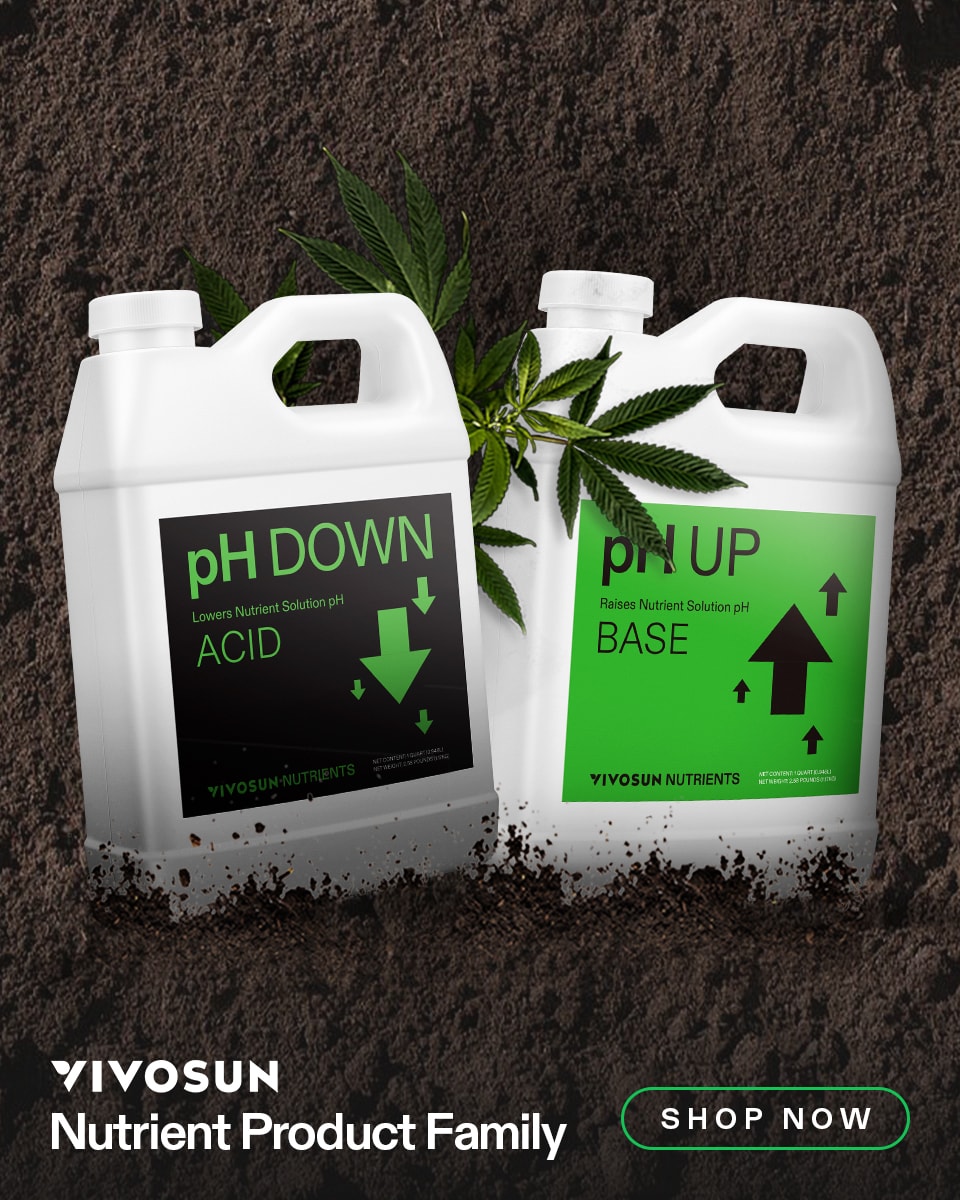 Love What You Grow | Vivosun