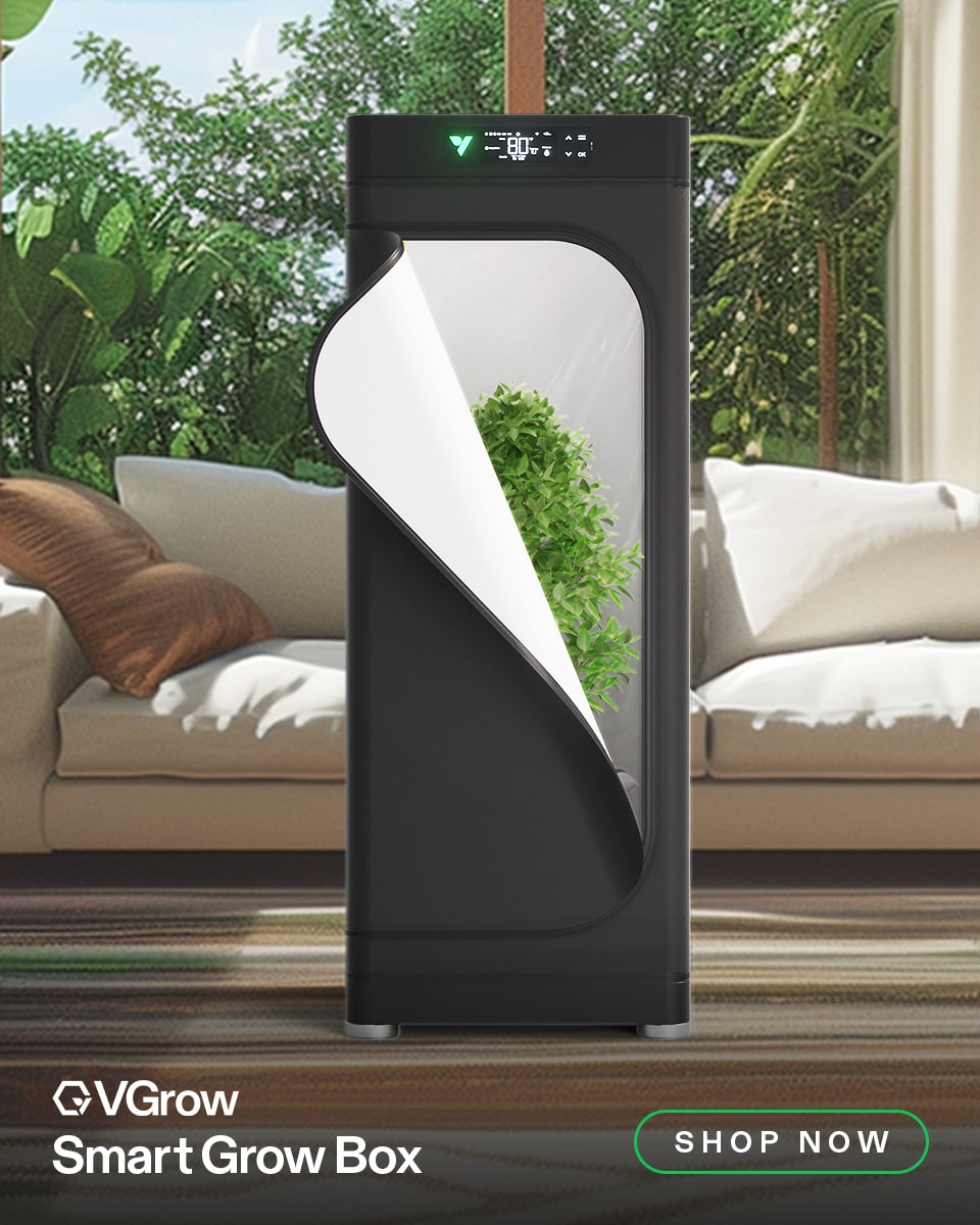 Love What You Grow | Vivosun